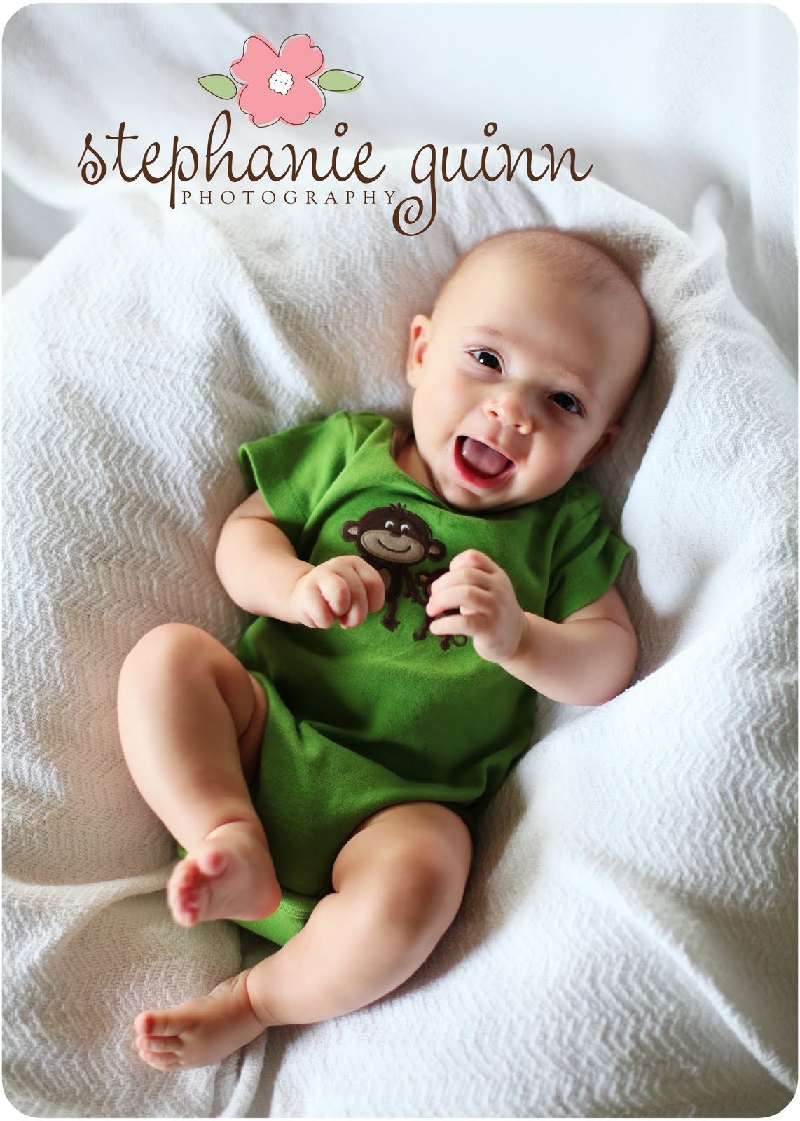 Stephanie Guinn Photography