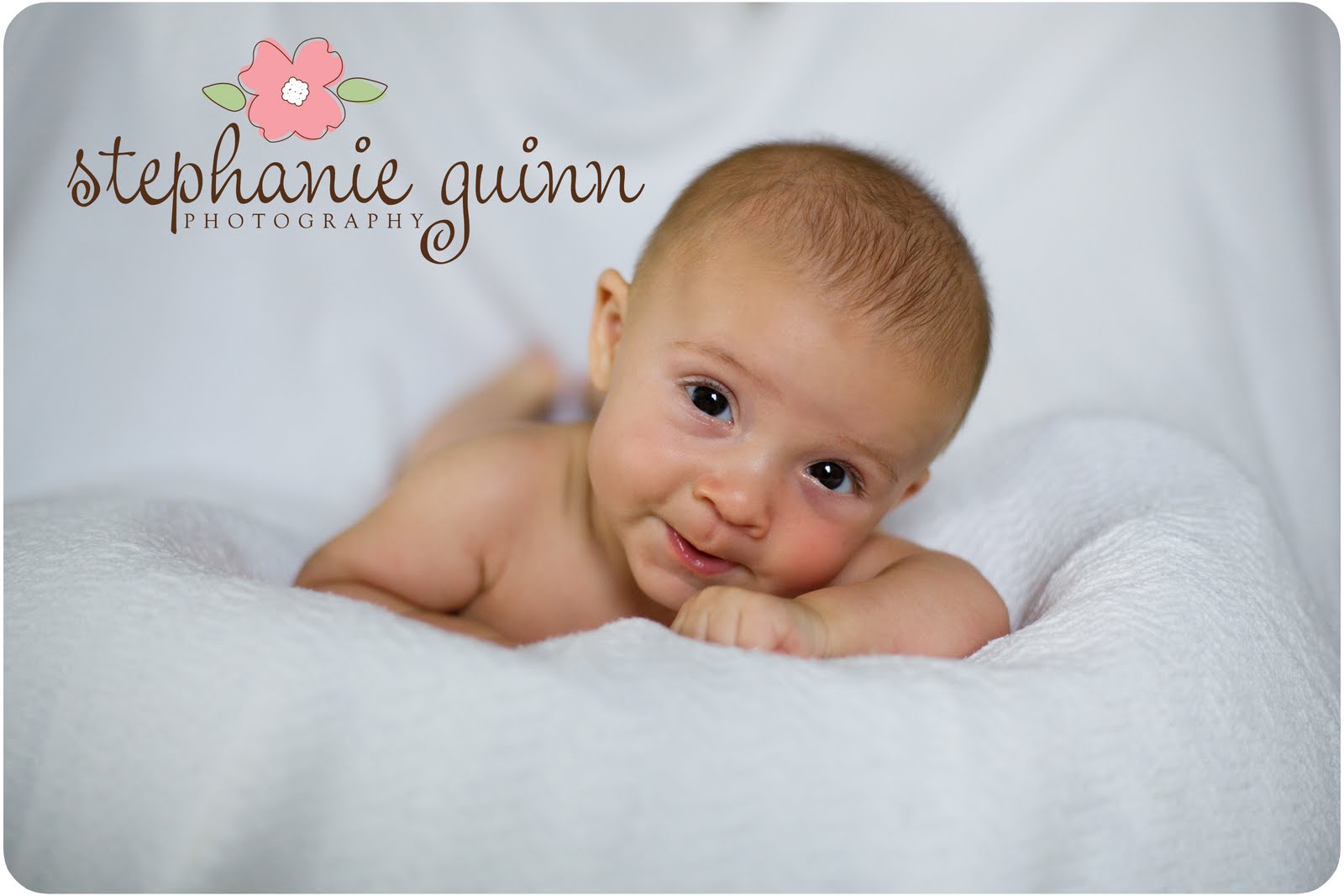 Stephanie Guinn Photography