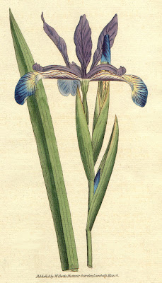 Rustling Leaves: April 2007