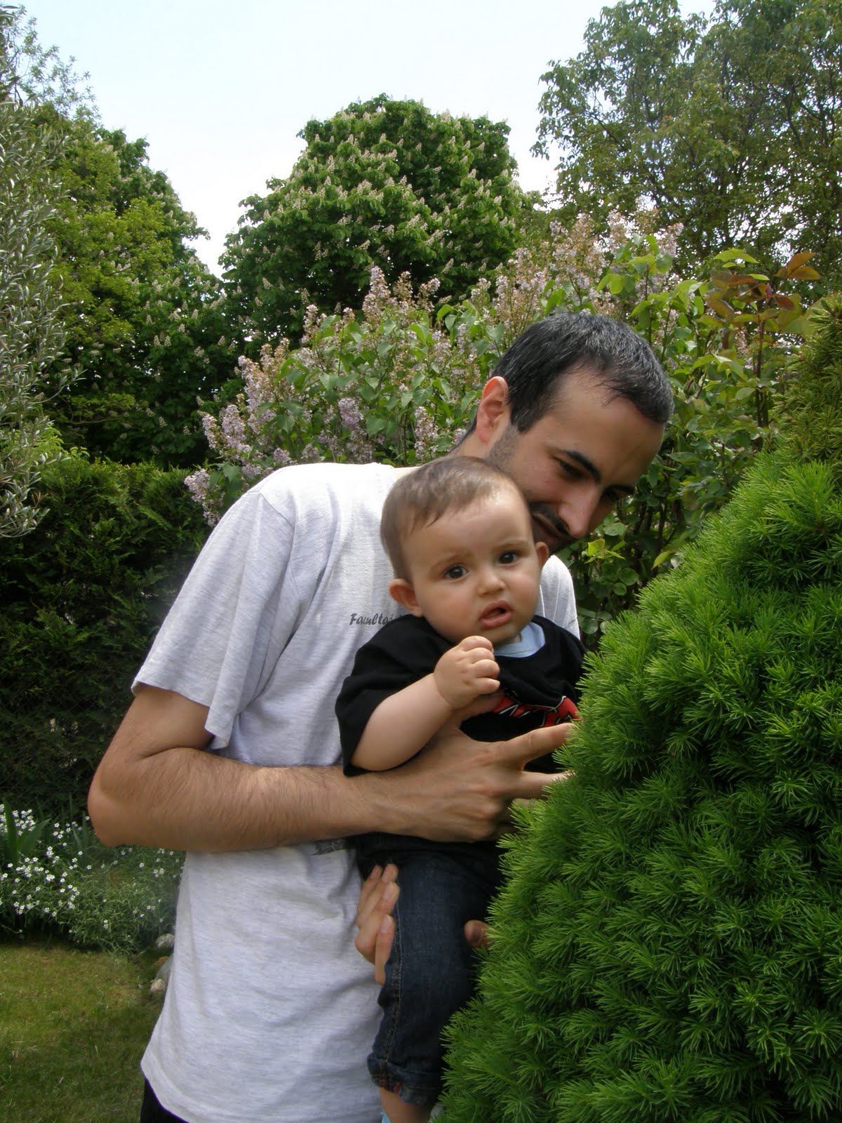 Blog De Una Madre Desesperada Daniel El Travieso
