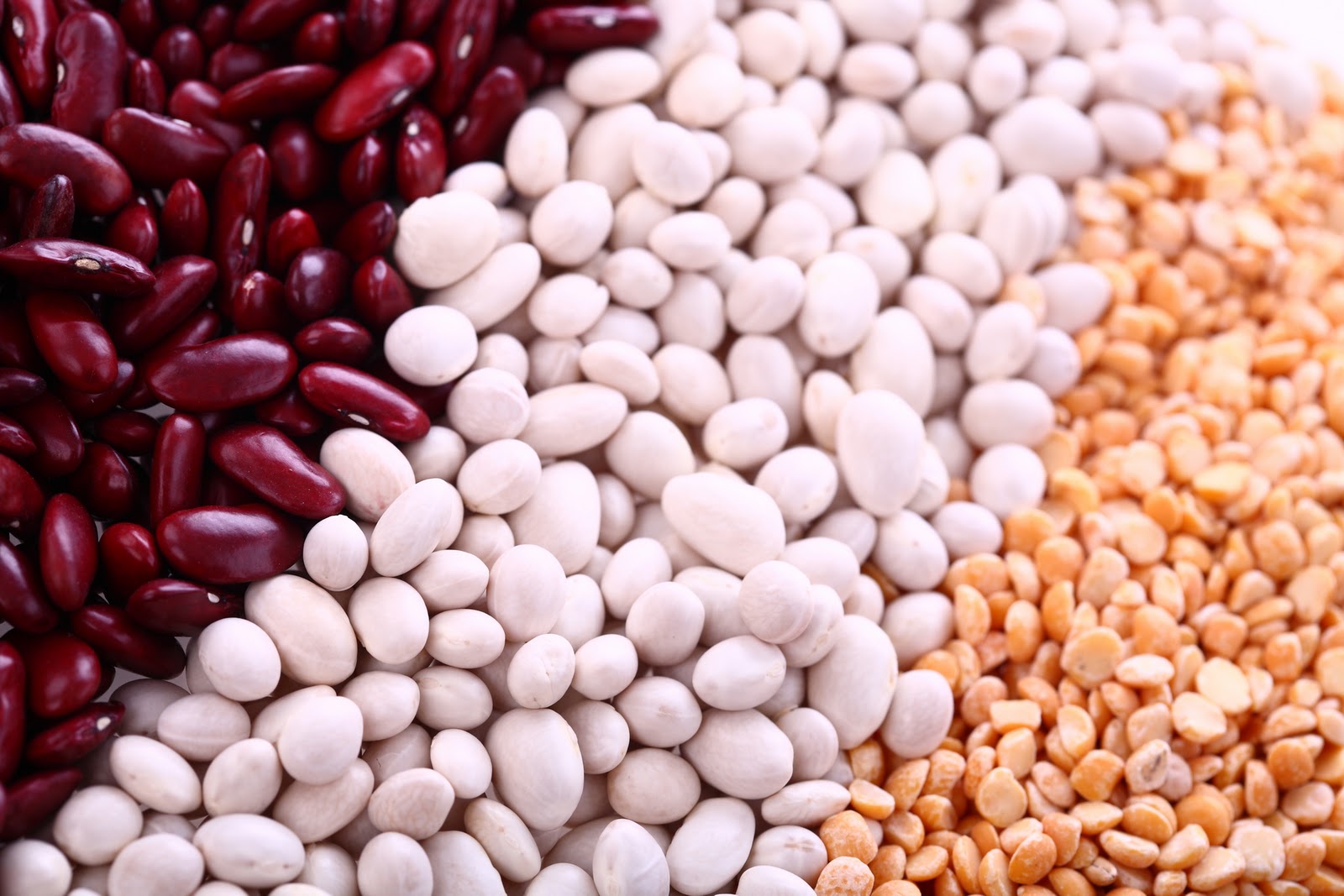 A.Cooking: LEGUMINOSAS