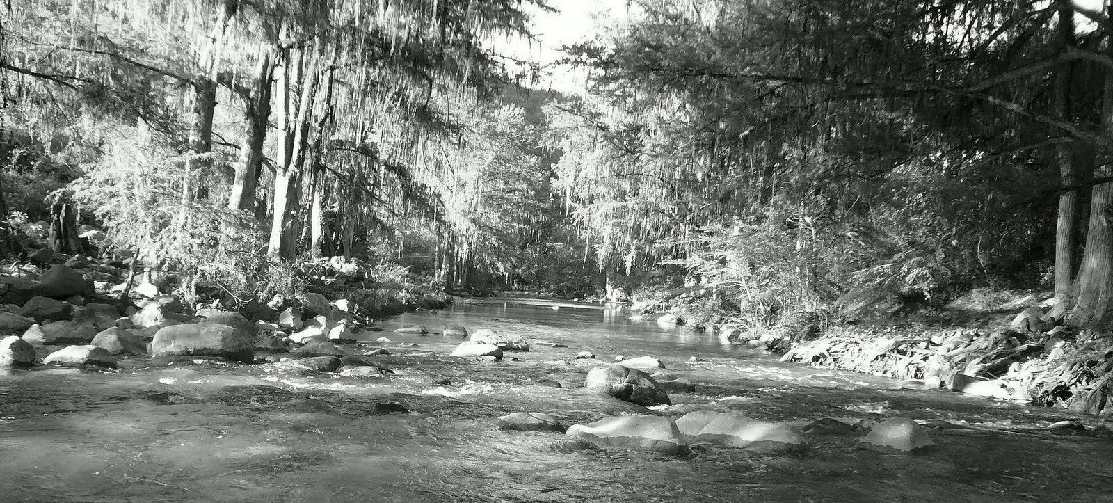 letras furiosas: canciones: río abajo (mañana)
