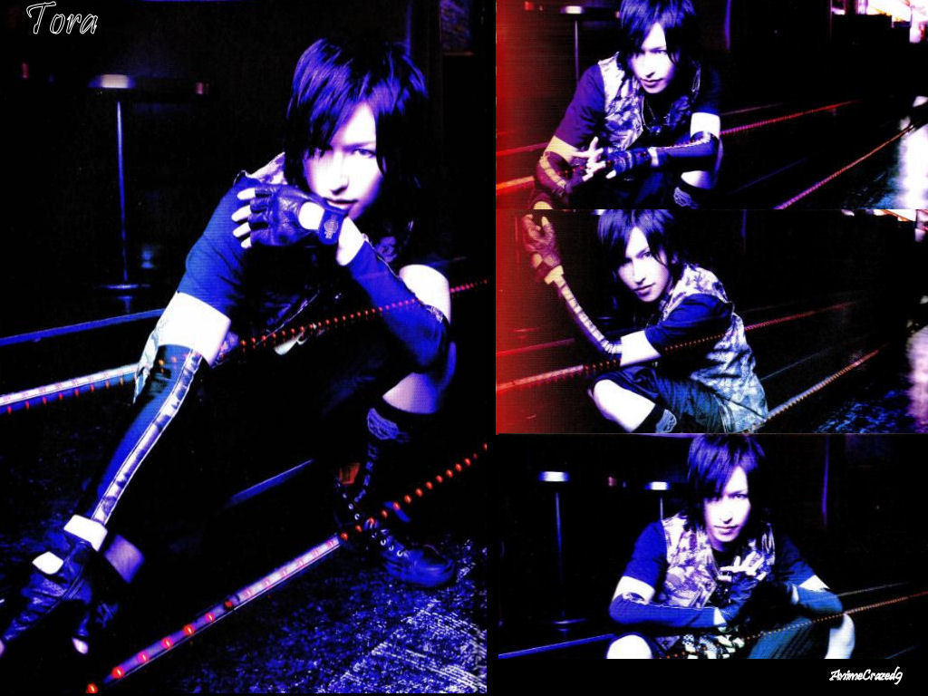 Baka Neko: Tora - Alice Nine. *-* (guitar)