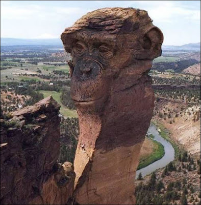 Sparsa: Faces of Nature