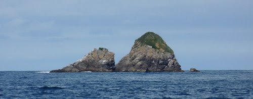 Introducing Maori Lifestyles: Birding on the Titi Islands