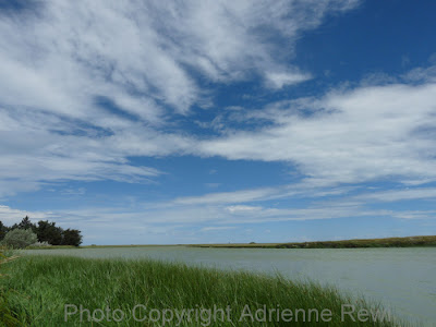 Adrienne Rewi Online: A Trip to Selwyn Huts