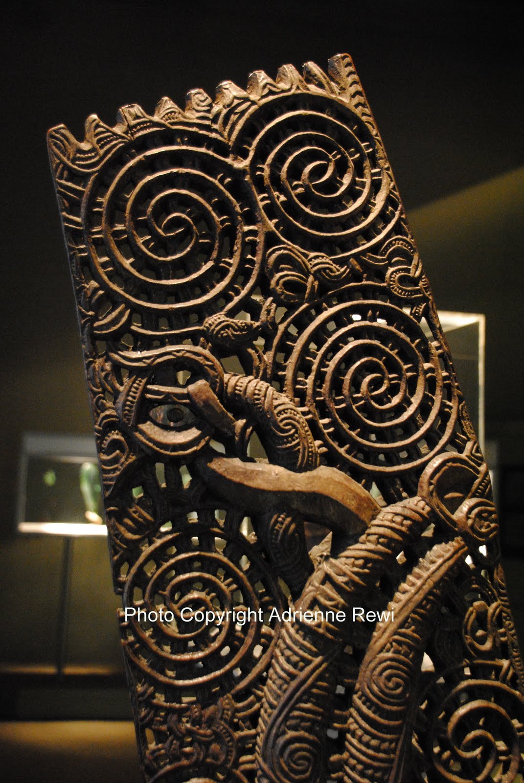 Introducing Maori Lifestyles: One Waka - A Short History