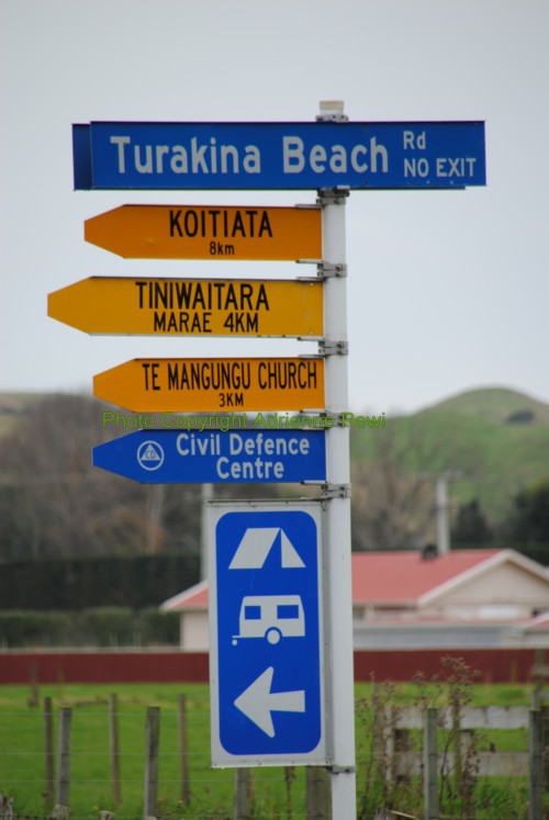 Introducing Maori Lifestyles: A Ngati Apa Marae - Turakino