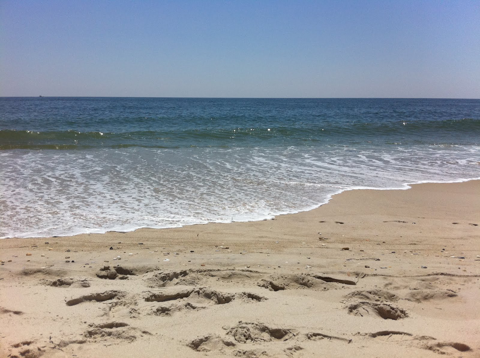 Bart Boehlert's Beautiful Things: A Week on Fire Island