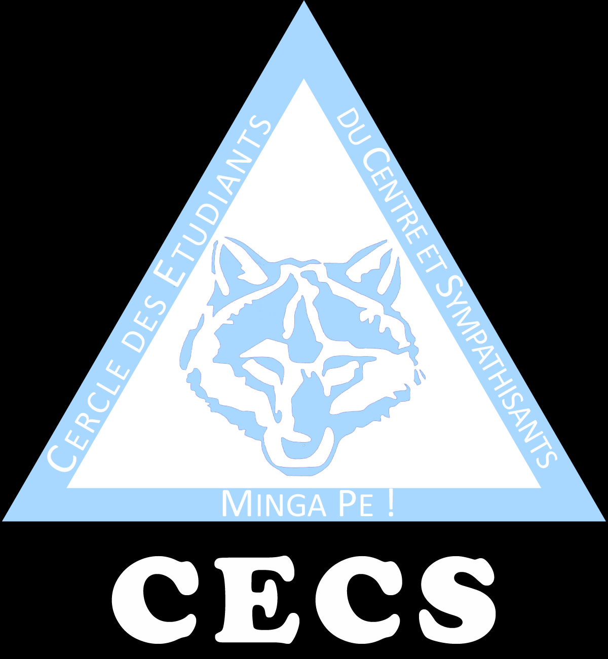 Erasmus à Séoul: Présidence CECS 2010-2011