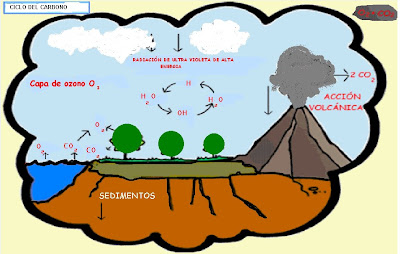 ciclos de la naturaleza: ¿que son los ciclos de la naturaleza?¿y en que ...