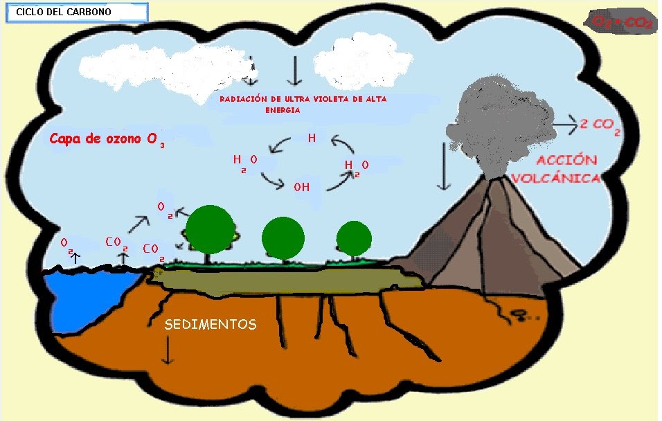 ciclos de la naturaleza: ¿que son los ciclos de la naturaleza?¿y en que ...