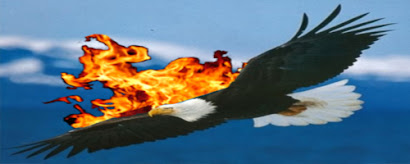 Ilhéus Fire Falcons