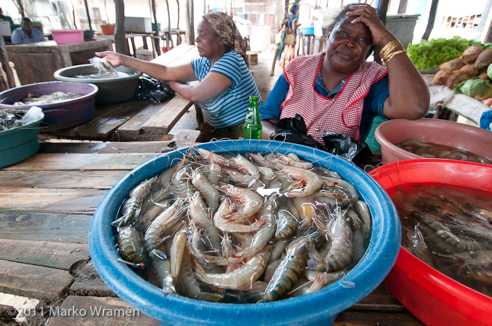 Curiosity as a lifestyle: Fish market and Costa do Sol in Maputo