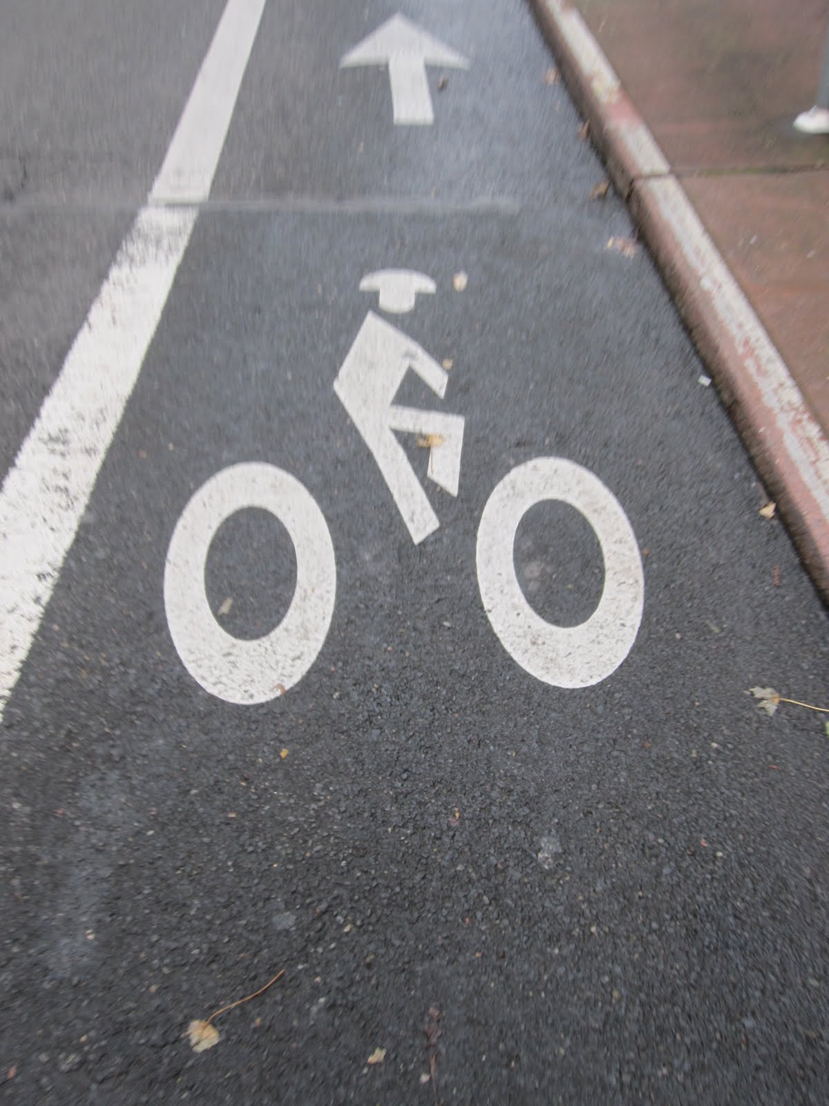 The Common Cyclist: Portland bike lanes - meet the bike lane guy.