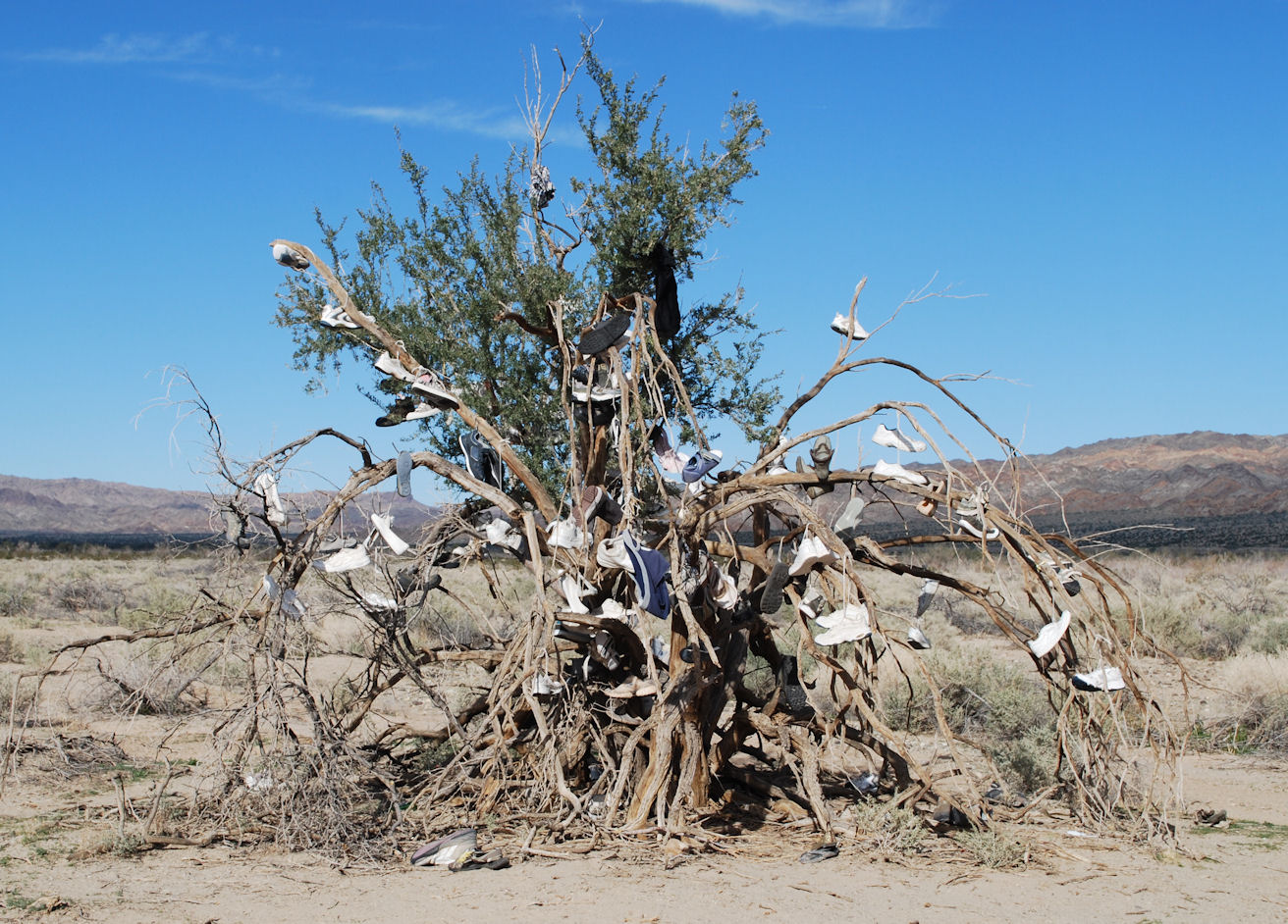 Dave and Pat On The Road: A few more local desert sights