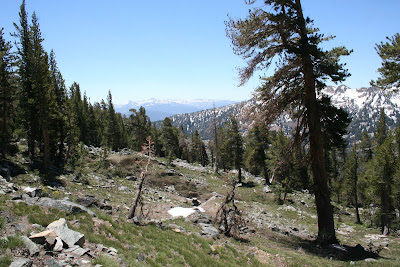 What actually happened to Steve Fossett?