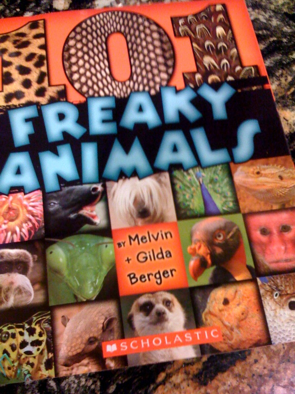 So Many Books...So Little Time