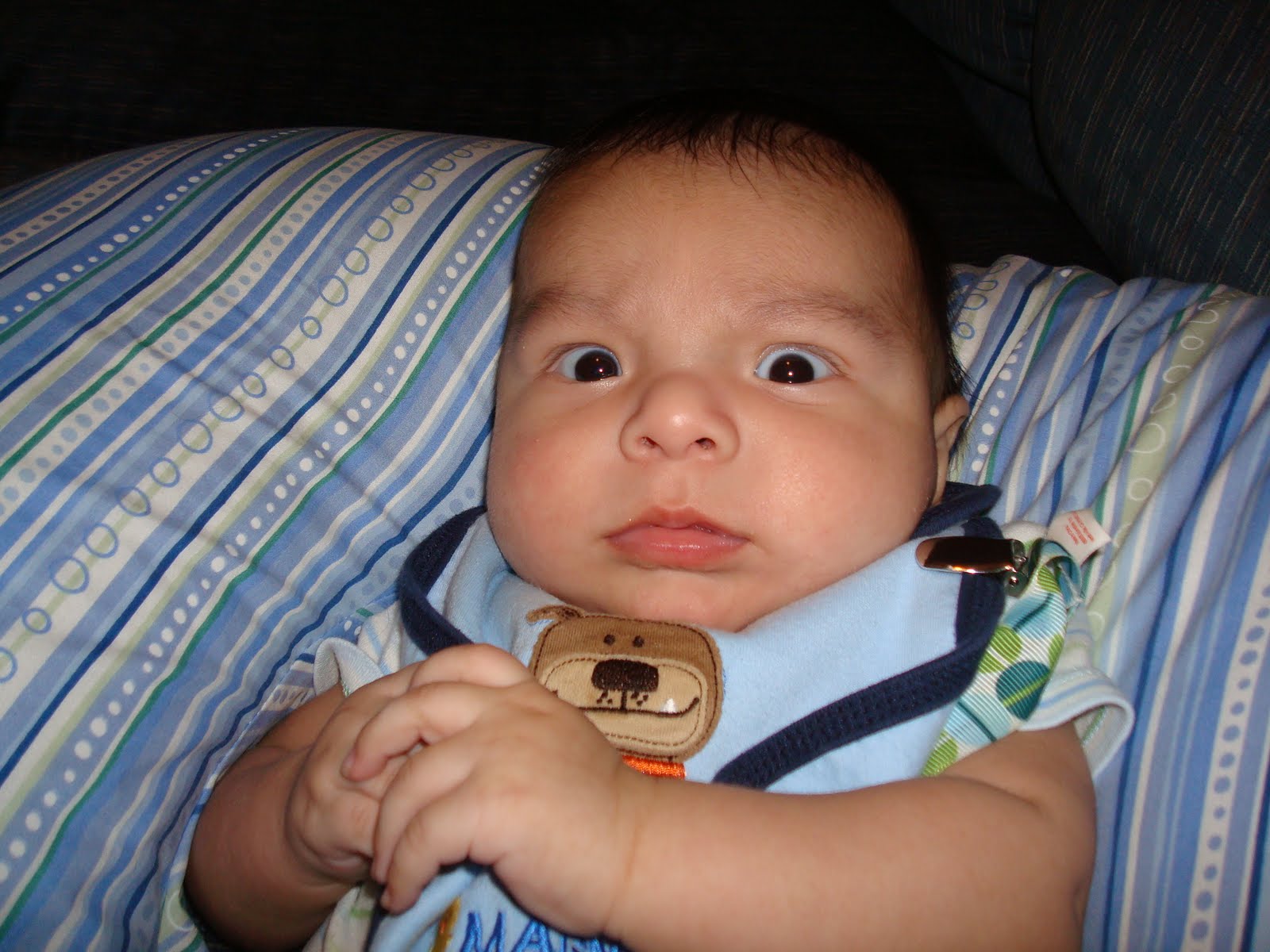 Baby Borja: Baby Zeus 2-3 months