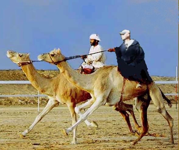 I am CuTRis: Cutris Seen Speeding Away on Camel!