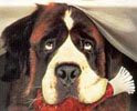 Raising Mr. Puck: Famous Dogs