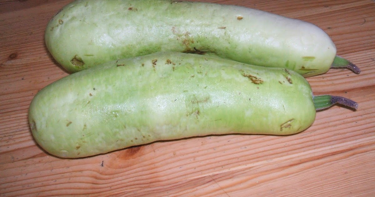 How To Cook Opo Squash