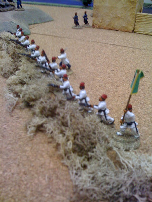 A Word for Today: Zareba