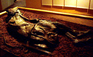 Denmark Road Ways Two on the loose. Dan with down travels anywhere ...