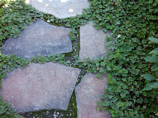 On My Green Thumb: Ground covers around stone steps