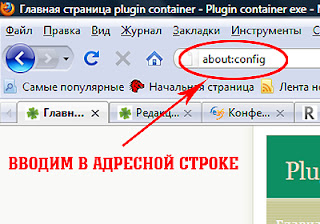Plugin-container.exe
