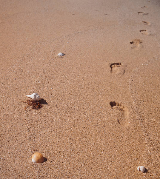 Aan die binnekant: Voetspore