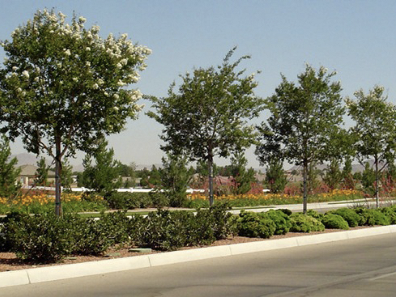 John Denson RLA Landscape Architecture Musings: Jess Ranch Parkway ...
