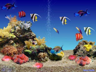 bloc personal: practico photoshop, pesera