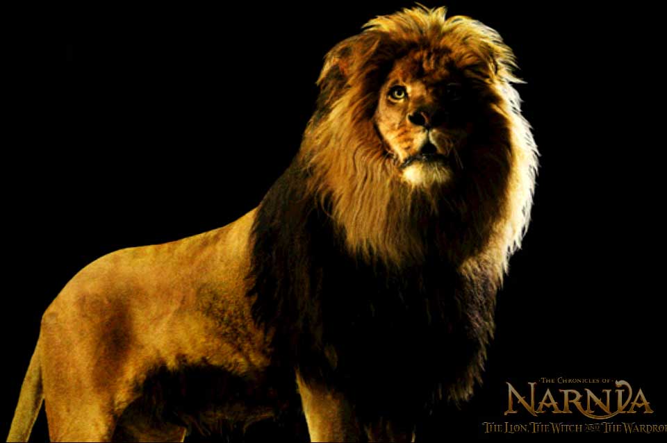 The Patternist: Black Star Resurrection: Lion is Lamb