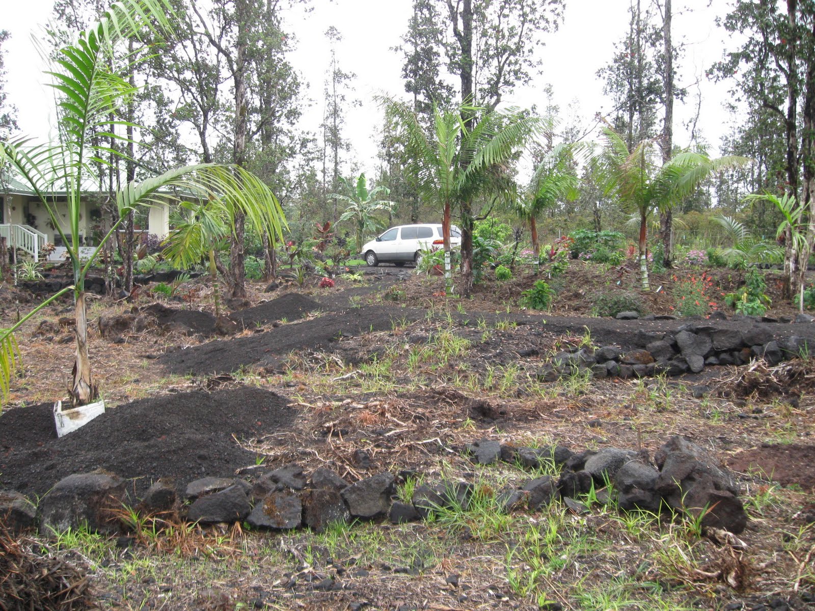 The Opinionated Gardener