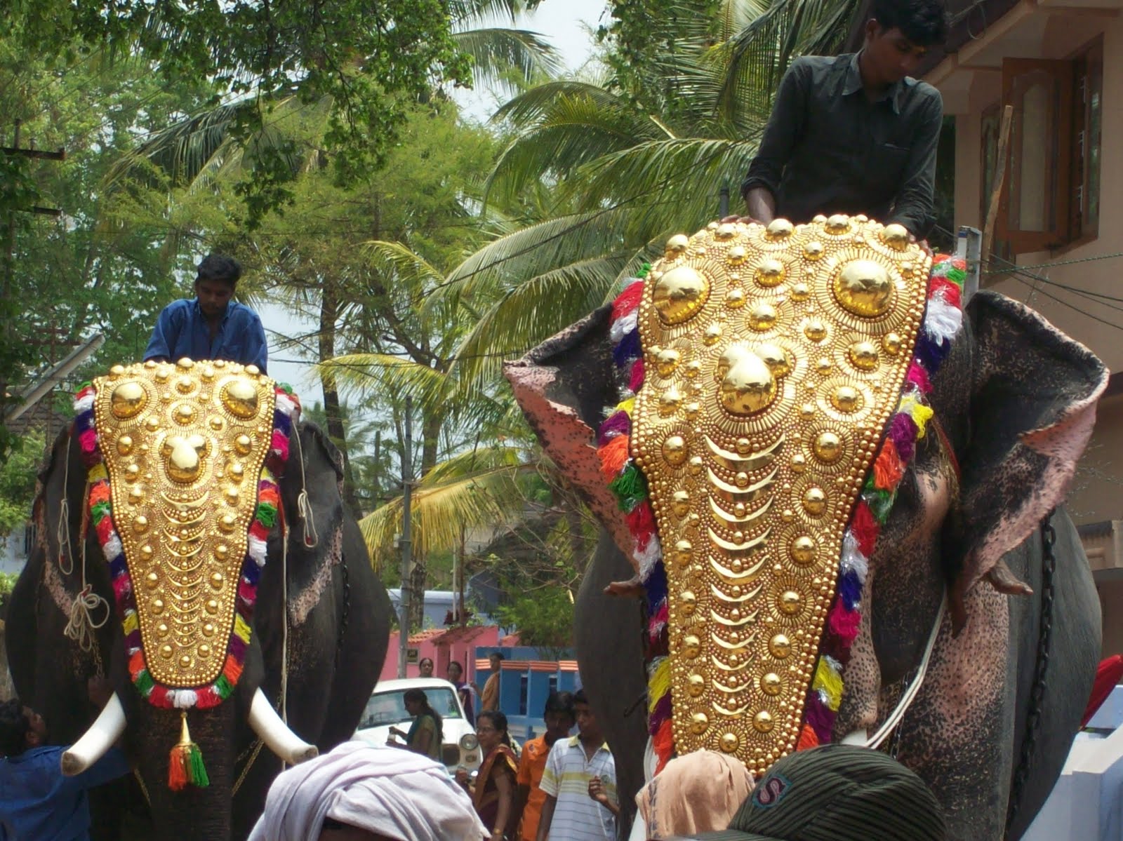 Welcome to Nenmara / Nemmara Village!: WELCOME TO NENMARA / NEMMARA ...