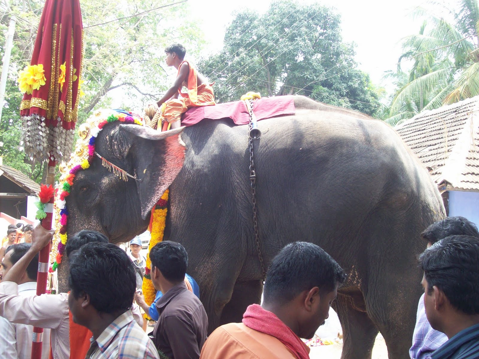 Welcome to Nenmara / Nemmara Village!: WELCOME TO NENMARA / NEMMARA ...