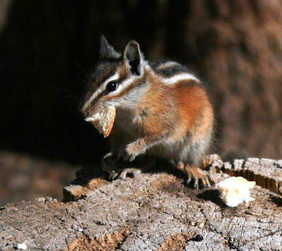Travel Update for Family and Friends: Thirty Mile Campground Creede ...