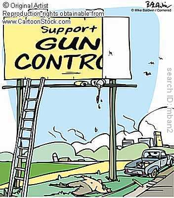 Illustration 3: Gun Laws