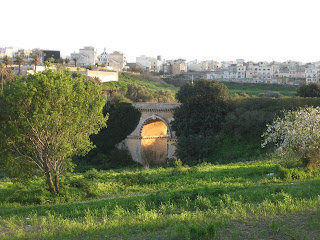 PJS: Photos from Chadwick Lakes and nearby (Malta)