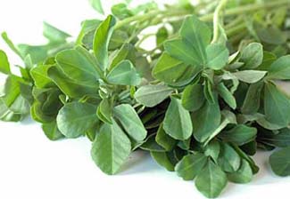 CookHealthy.in: Health benefits of Methi(Fenugreek)