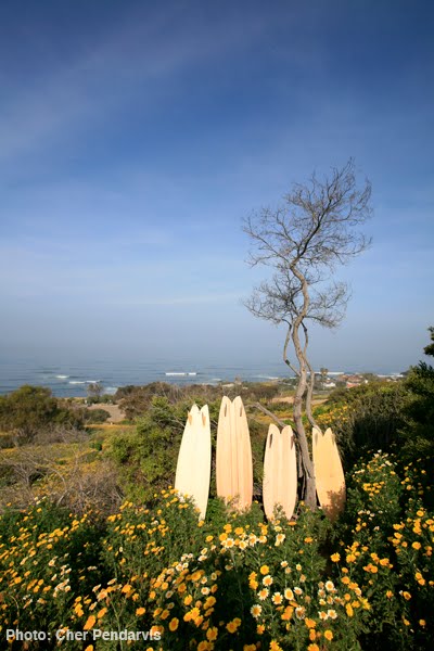The Alley Fish Fry: Pendoflex Fishes by Steve Pendarvis
