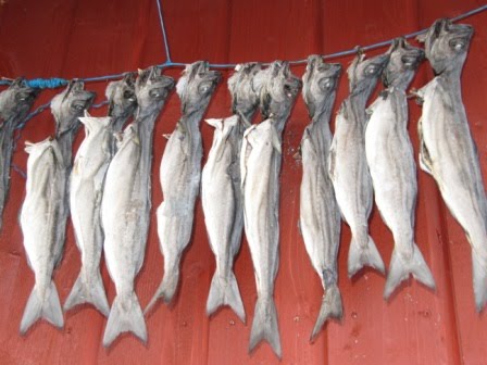 Charlie Dog Came Too: Norway 2 - The Road North