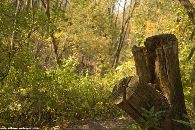Racine Post: 10/10/10 - 10/17/10