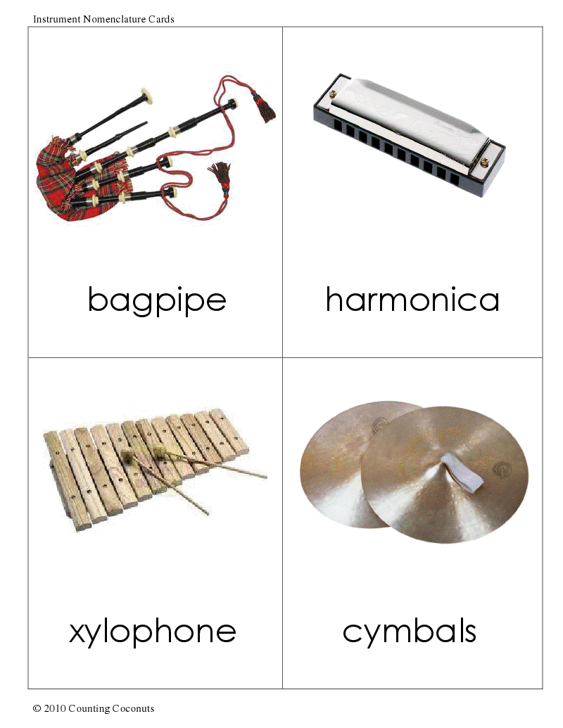 Counting Coconuts: Instrument Nomenclature Cards