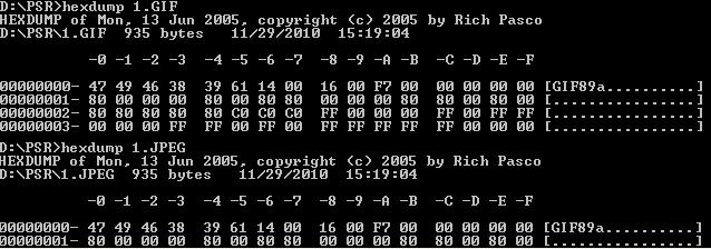 PSR.COM: File Magic Numbers in Header to differentiate between files