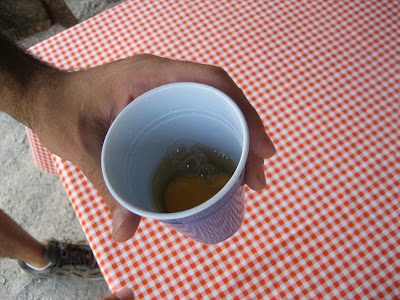 Have You Ever Picked A Carrot?: Raw Eggs...mmm Tastes Like Chicken