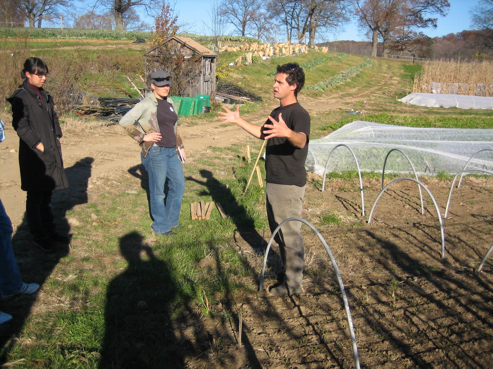 Have You Ever Picked A Carrot?: Winter Hoops and Winter Veggies