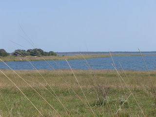 Wade Waves: Mabibi Weekend