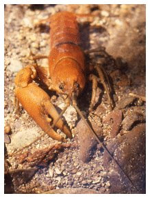 Miller and Low Streets